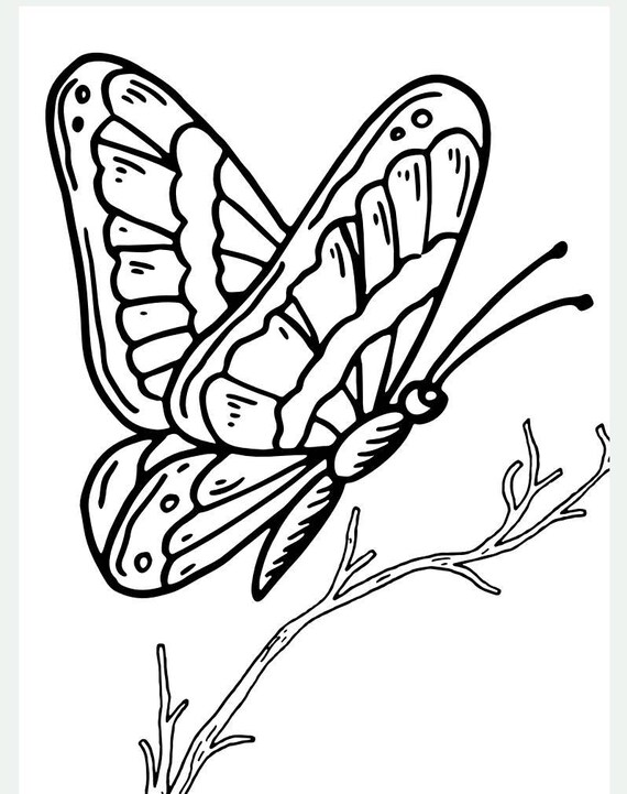 Bug Colouring in Pages. 10 Pages for Kids to Colour Featuring - Etsy