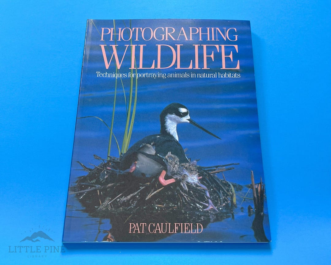 Vintage 1988 Photographing Wildlife by Patricia Caulfield Softcover ...