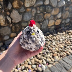 Crochet Customizable Chicken/hen Family - Etsy
