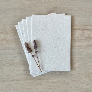 300 Gsm 5x7" Basil Seed Paper Flower | Handmade Herb Seed Flower Paper ...