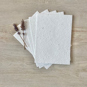 300 Gsm 5x7" Basil Seed Paper Flower | Handmade Herb Seed Flower Paper ...