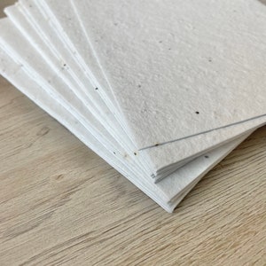 300 Gsm 5x7" Basil Seed Paper Flower | Handmade Herb Seed Flower Paper ...