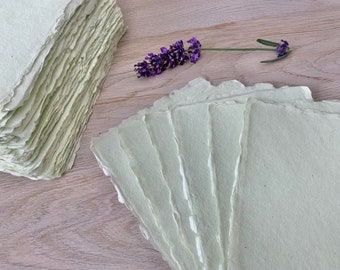 Sage Green Wedding Details Card - Etsy