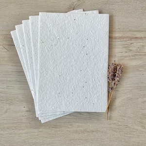 300 Gsm 5x7" Basil Seed Paper Flower | Handmade Herb Seed Flower Paper ...