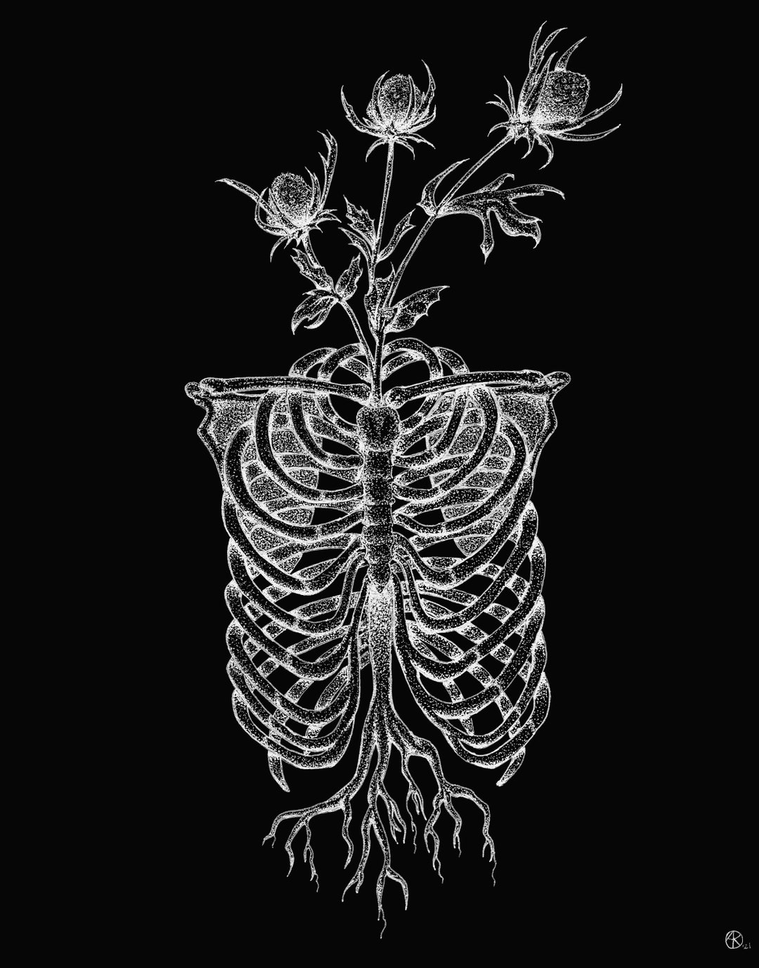 Inverted Ribs - Etsy