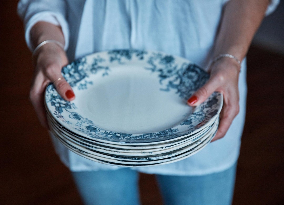 Antique Stoke Pottery Dinner Plates: Nevis Blue Floral, Set of 5 ...