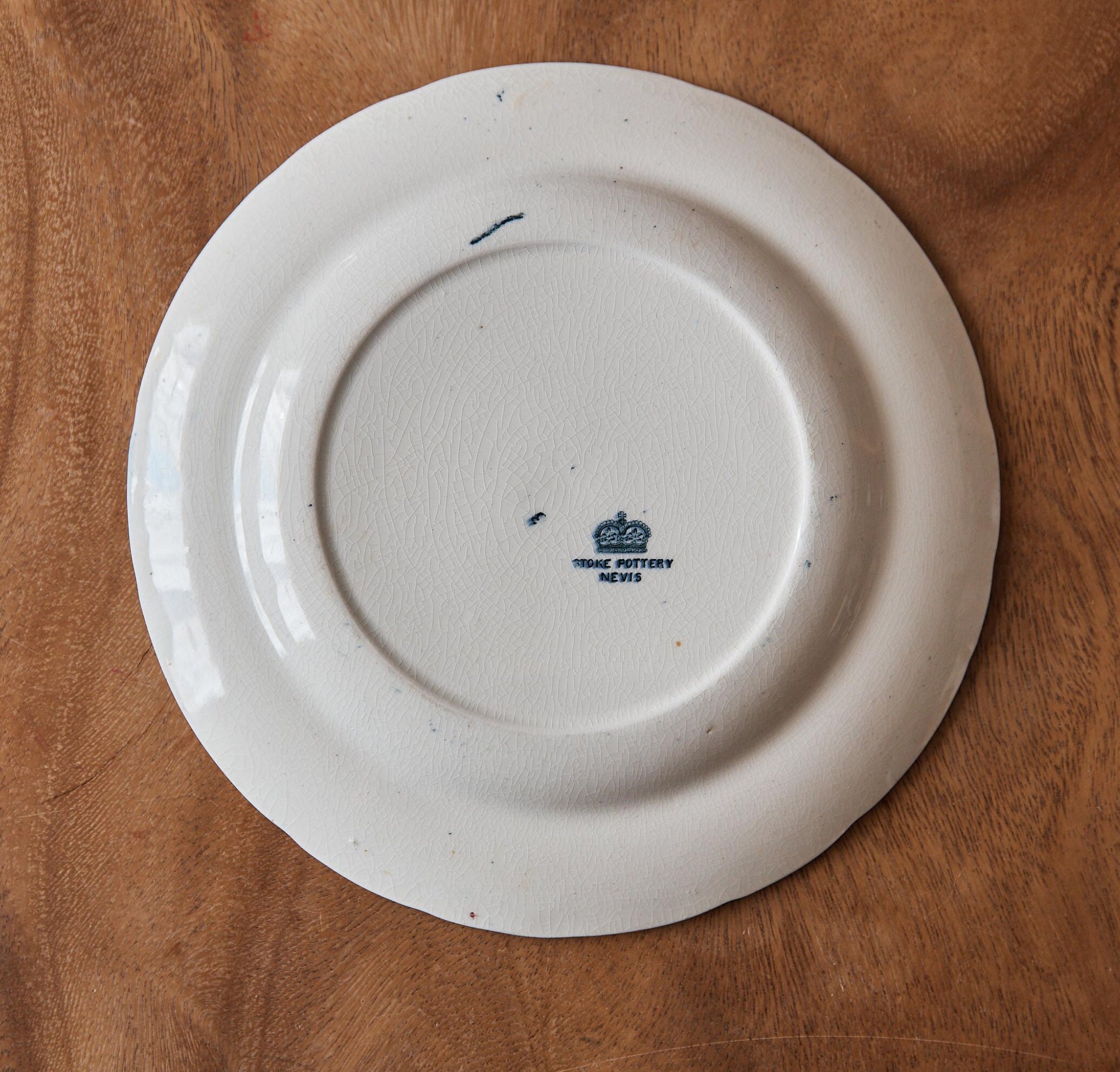 Antique Stoke Pottery Dinner Plates: Nevis Blue Floral, Set of 5 ...