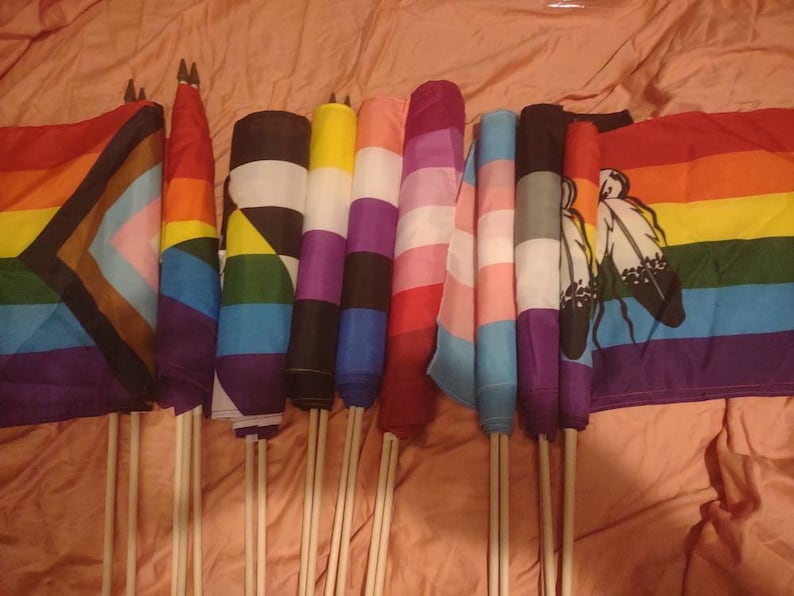 Handheld Pride Flags: Rainbow, Trans, 2spirit & More (12x18 Inch) - Etsy