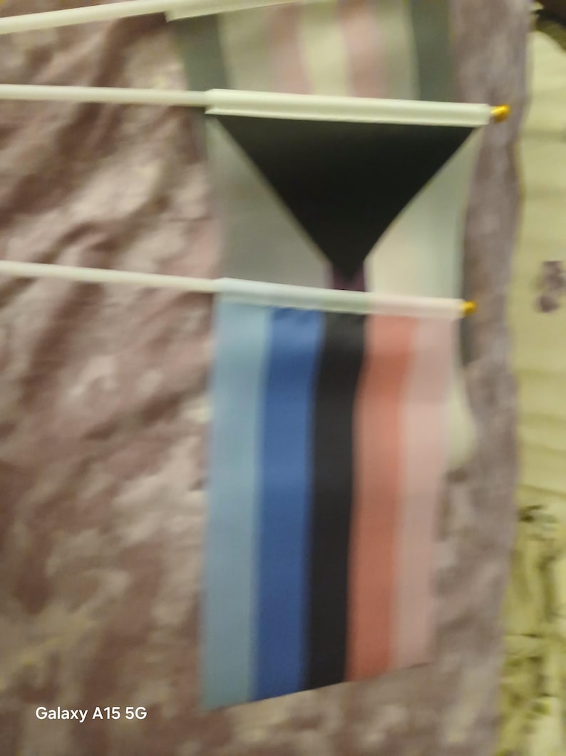 Pride Flags: Handheld Rainbow, Transgender, Bisexual, Pansexual (set of ...