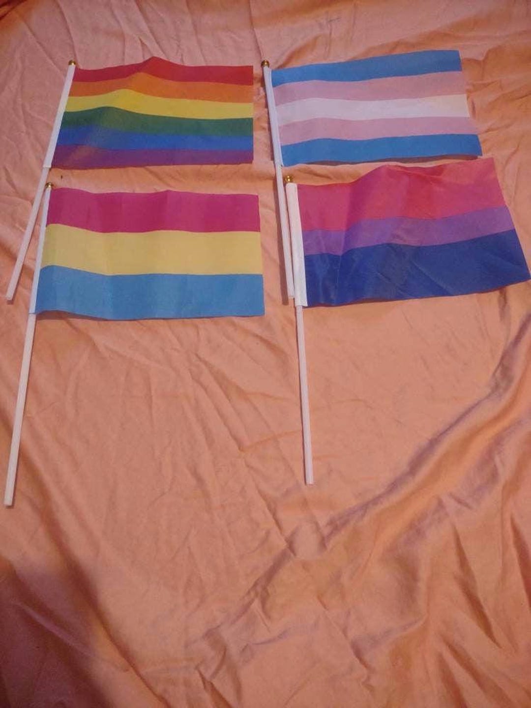 Pride Flags: Handheld Rainbow, Transgender, Bisexual, Pansexual (set of ...