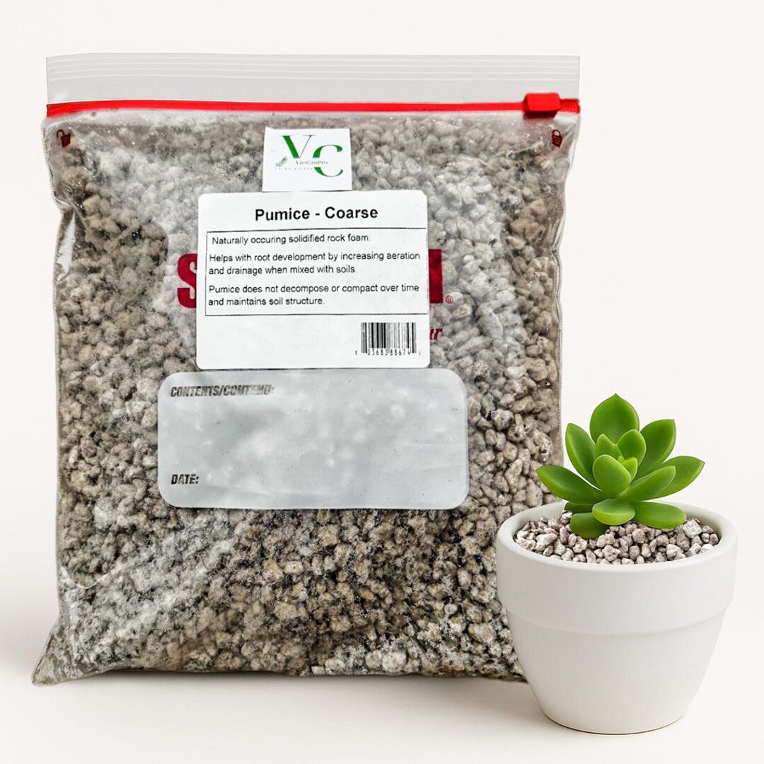 Premium Pumice Coarse for Plants – Monstera and Philodendron Plant ...