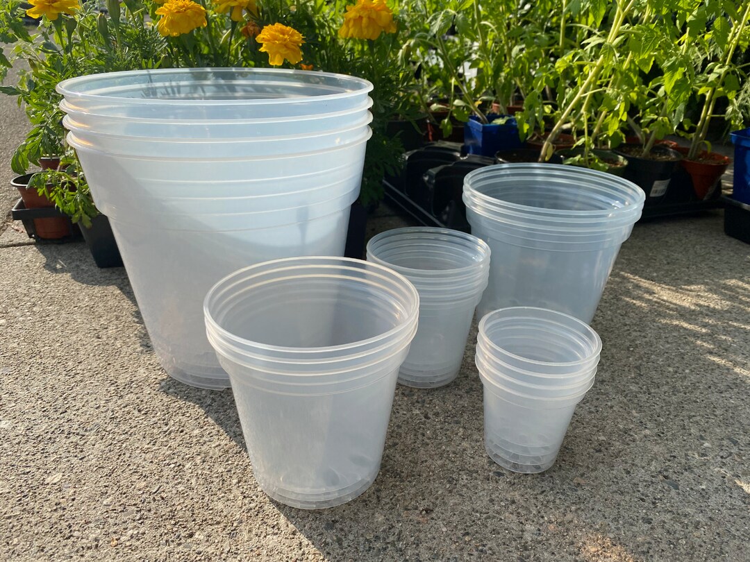 Clear Plant Pots, Clear Plastic Plant Pots, Nursery Pots, Clear Pot ...