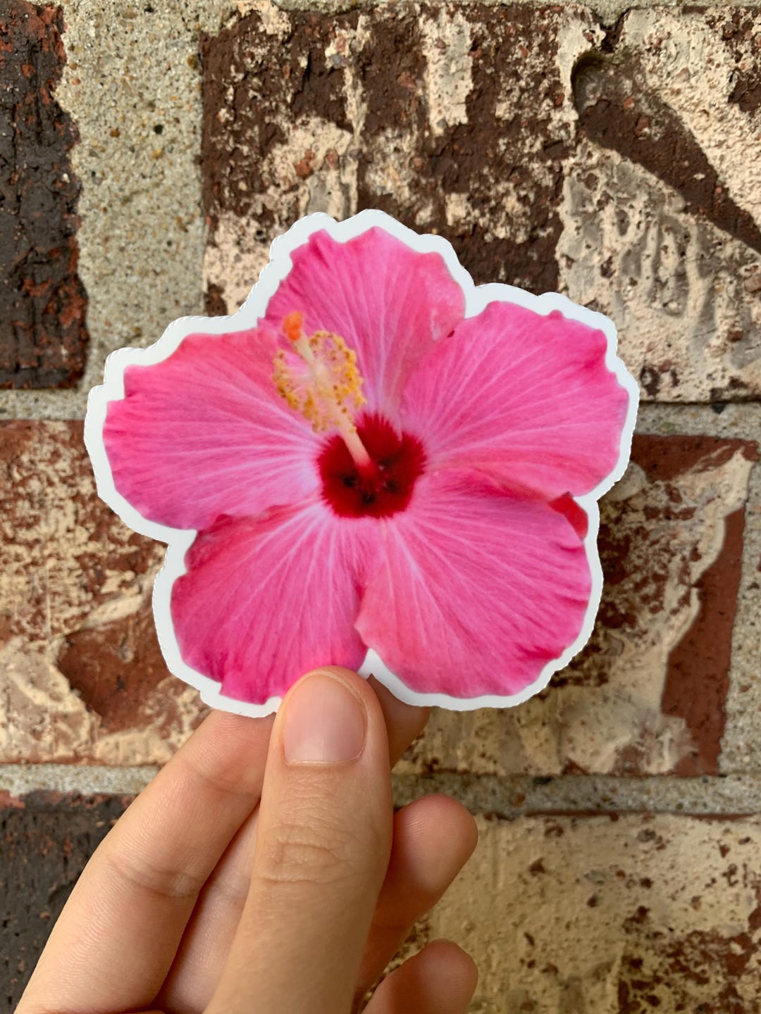 Hawaiian Plant Stickers Floral Stickers Plant Stickers Hawaii Flowers ...