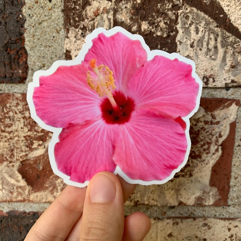 Flower Garden Bumper Sticker - Etsy