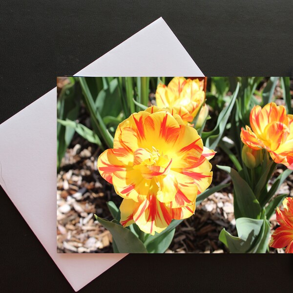 Nature Note Cards - Etsy