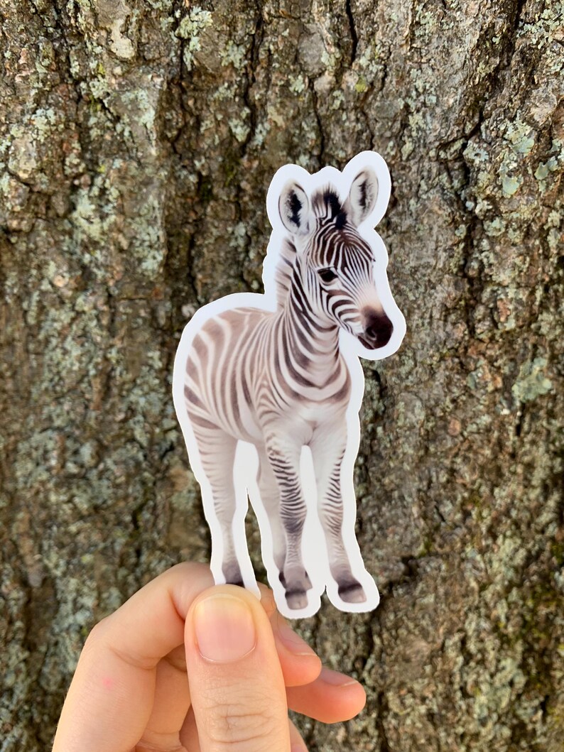 Cute Baby Animals Watercolor Animals Animal Lover Stickers Baby Animals ...