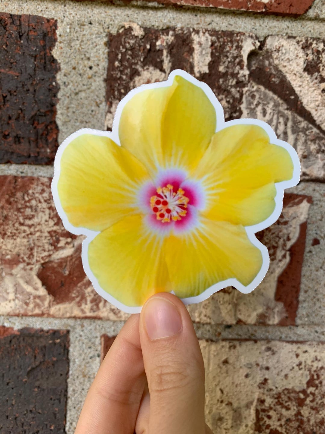 Hawaiian Plant Stickers Floral Stickers Plant Stickers Hawaii Flowers ...