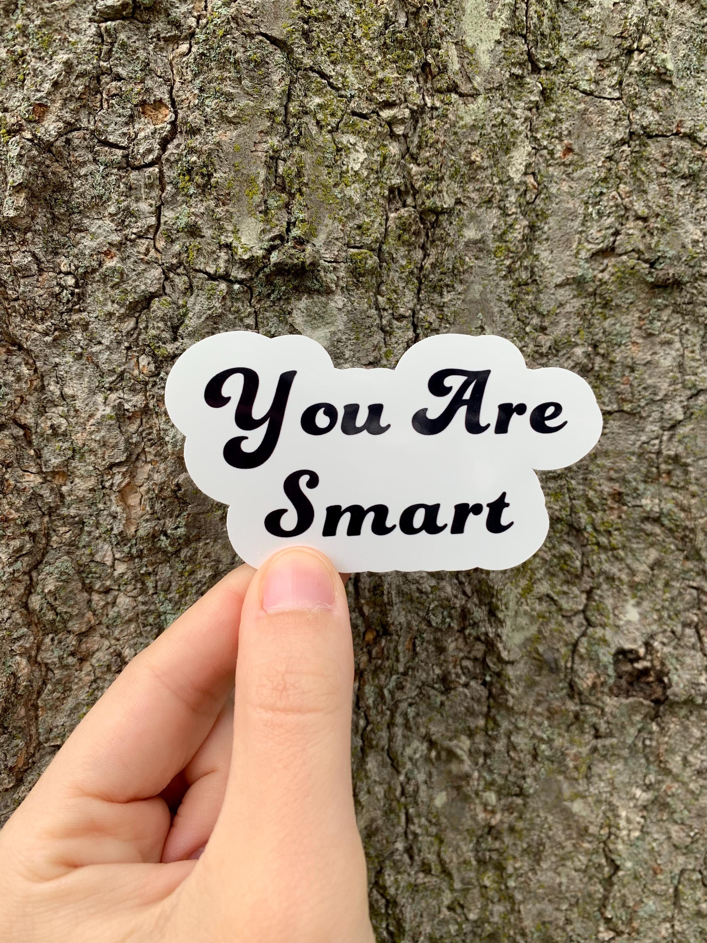 You Are Smart Affirmation Stickers Positivity Stickers Inspiring ...