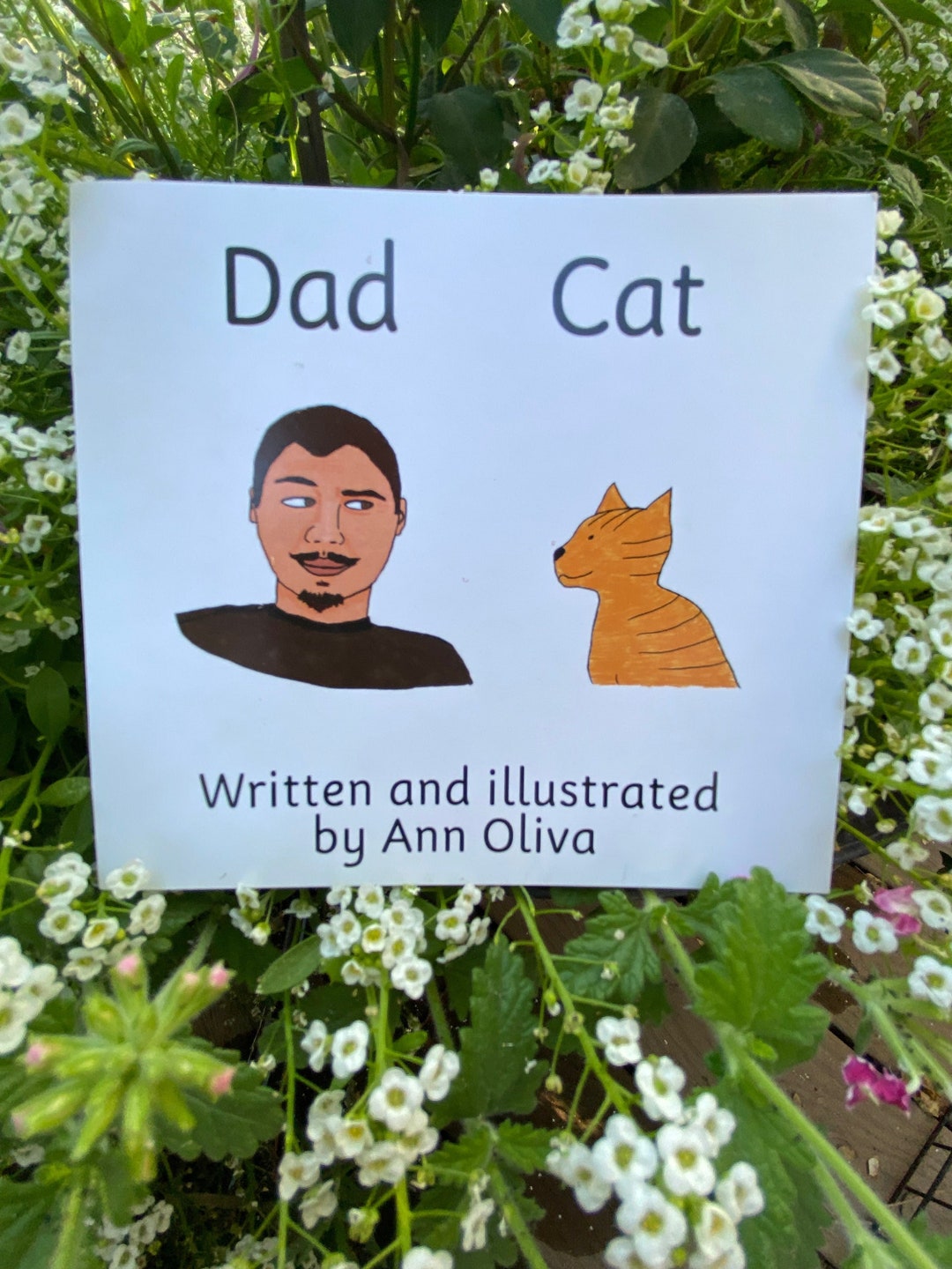 Dad Cat/small Group Set of 6/phonics Books/cvc/decodable/funny ...