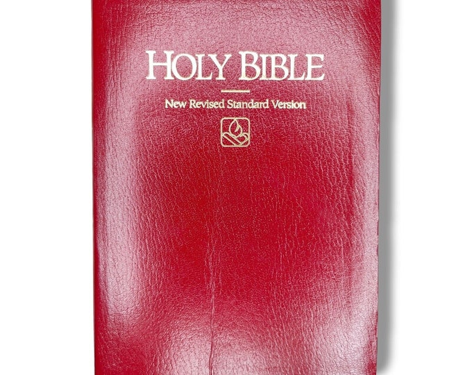 HOLY BIBLE NRSV New Revised Standard Version Augsburg Fortress Red ...