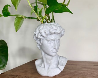 David Polyface Planter Pot for Plants Greek Heroic Male David's Head ...