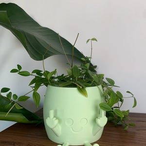Middle Finger Planter - Etsy