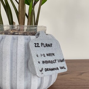 Plant Care Label - Etsy