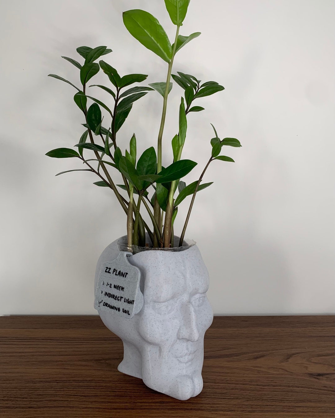 Plant Care Label - Etsy