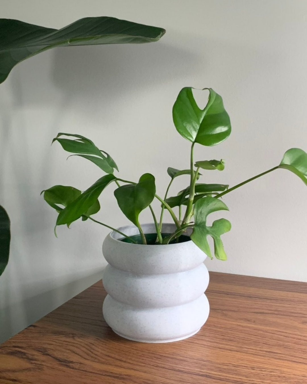 Bubble Planter - Etsy