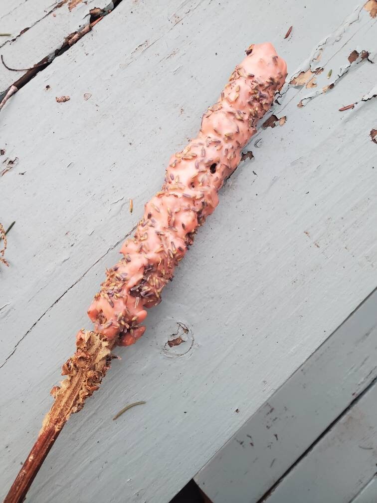 Mullein Torch, Hags Torch, Hag Candle, Witch Candle, Witch Torch ...