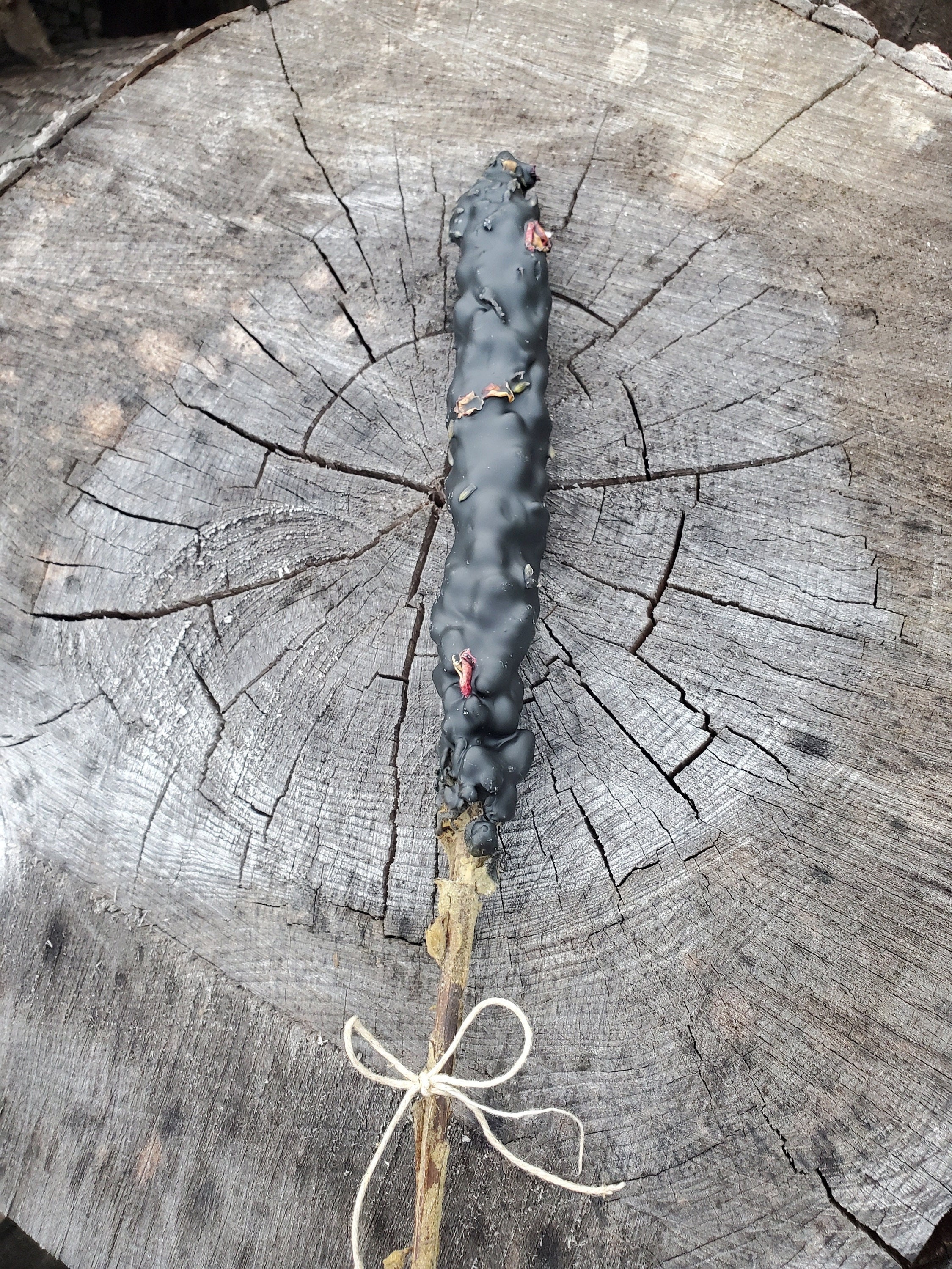 Mullein Torch, Hags Torch, Hag Candle, Witch Candle, Witch Torch ...