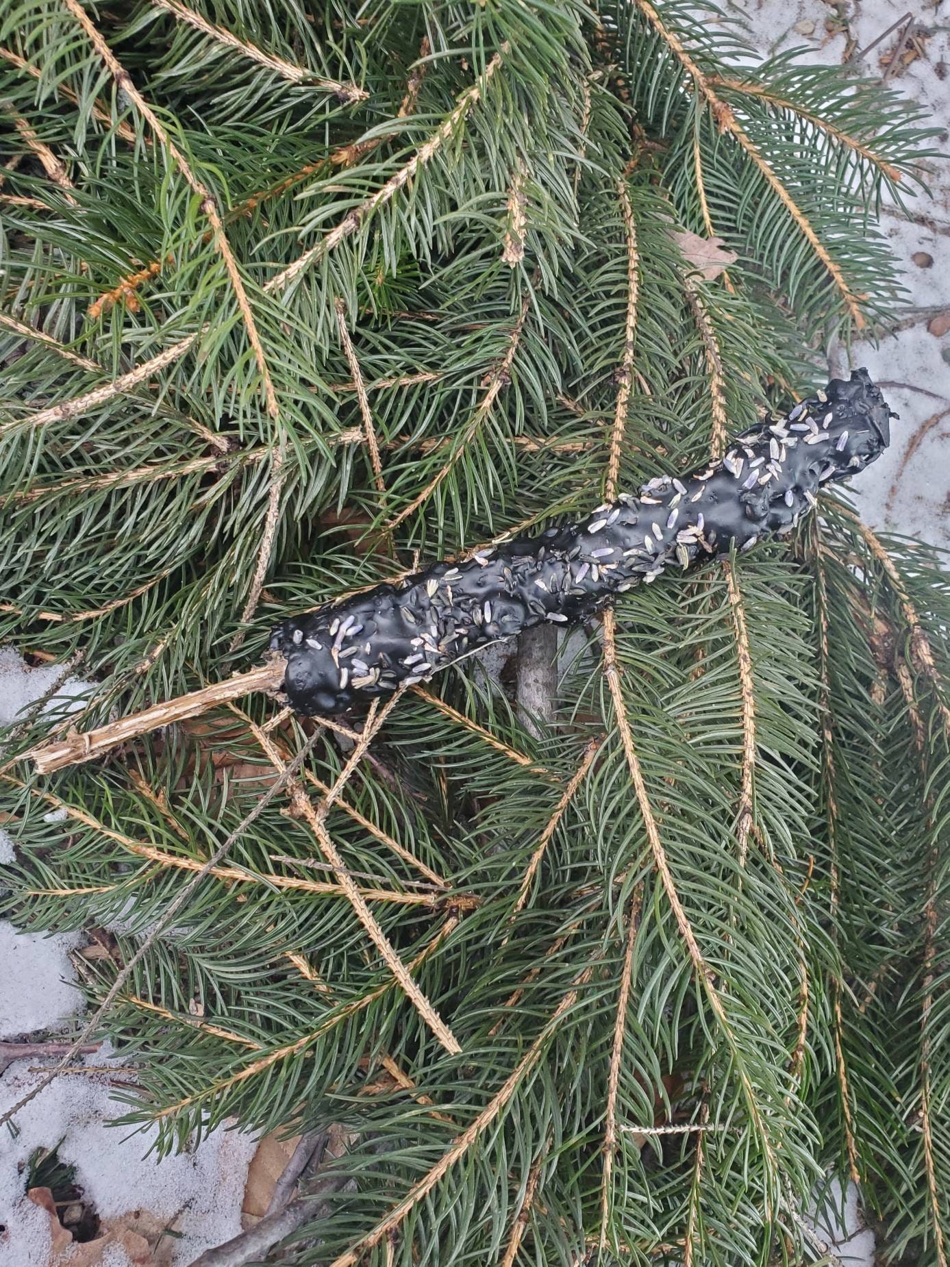 Mullein Torch, Hags Torch, Hag Candle, Witch Candle, Witch Torch ...