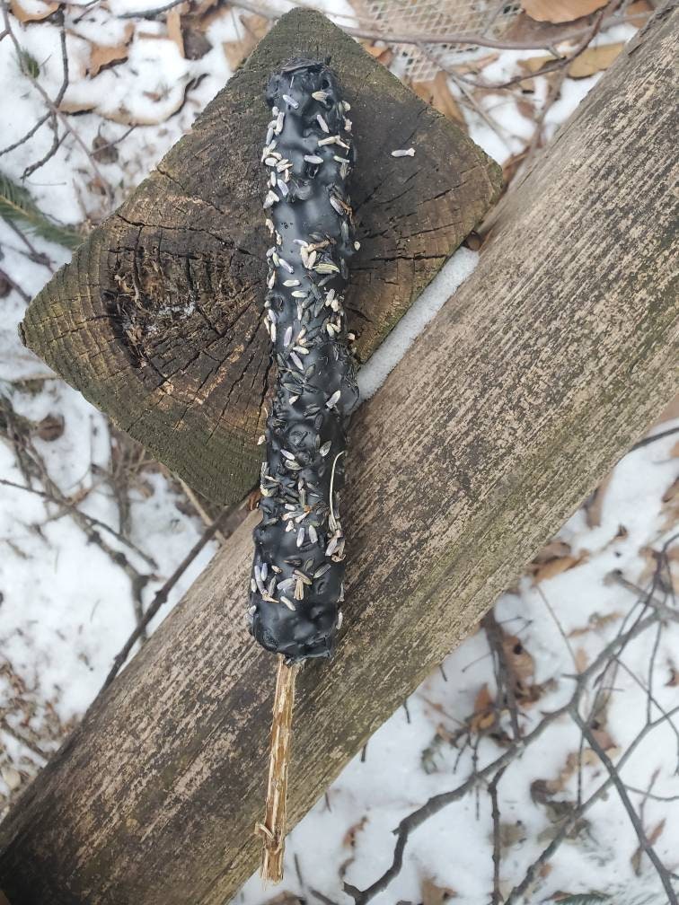 Mullein Torch, Hags Torch, Hag Candle, Witch Candle, Witch Torch ...