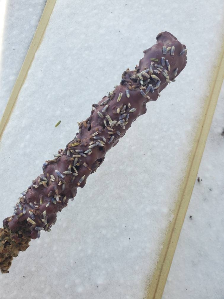 Mullein Torch, Hags Torch, Hag Candle, Witch Candle, Witch Torch ...