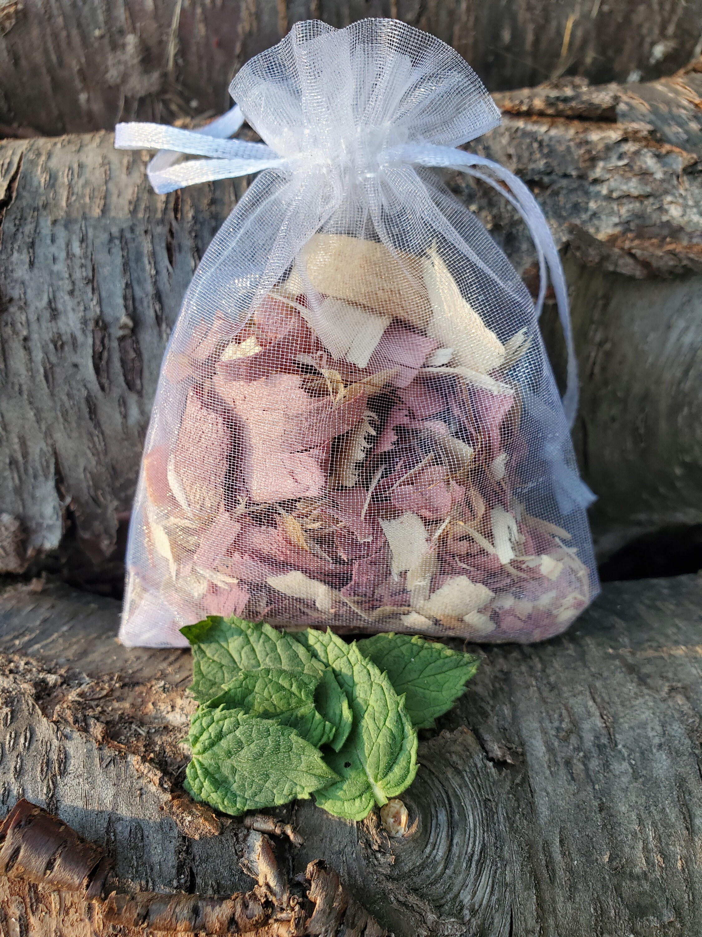 Natural Mouse Deterrent (set of 5 Bags), Rodent Deterrent, Camper, RV ...