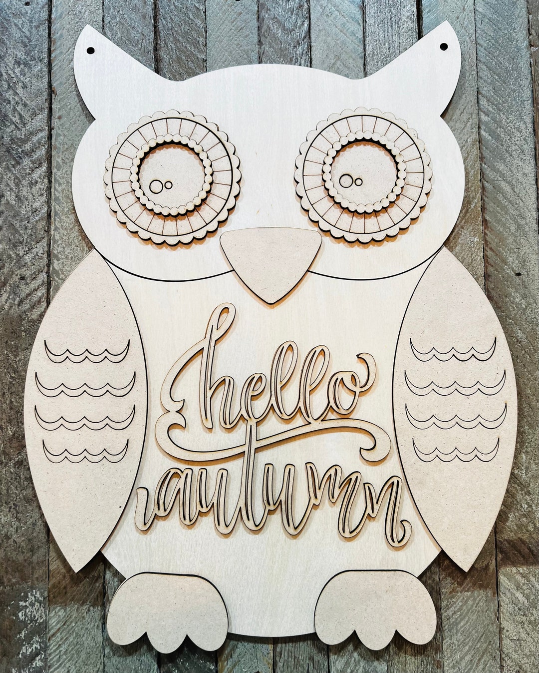 Hello Autumn Owl Door Hanger DIY Kit - Etsy