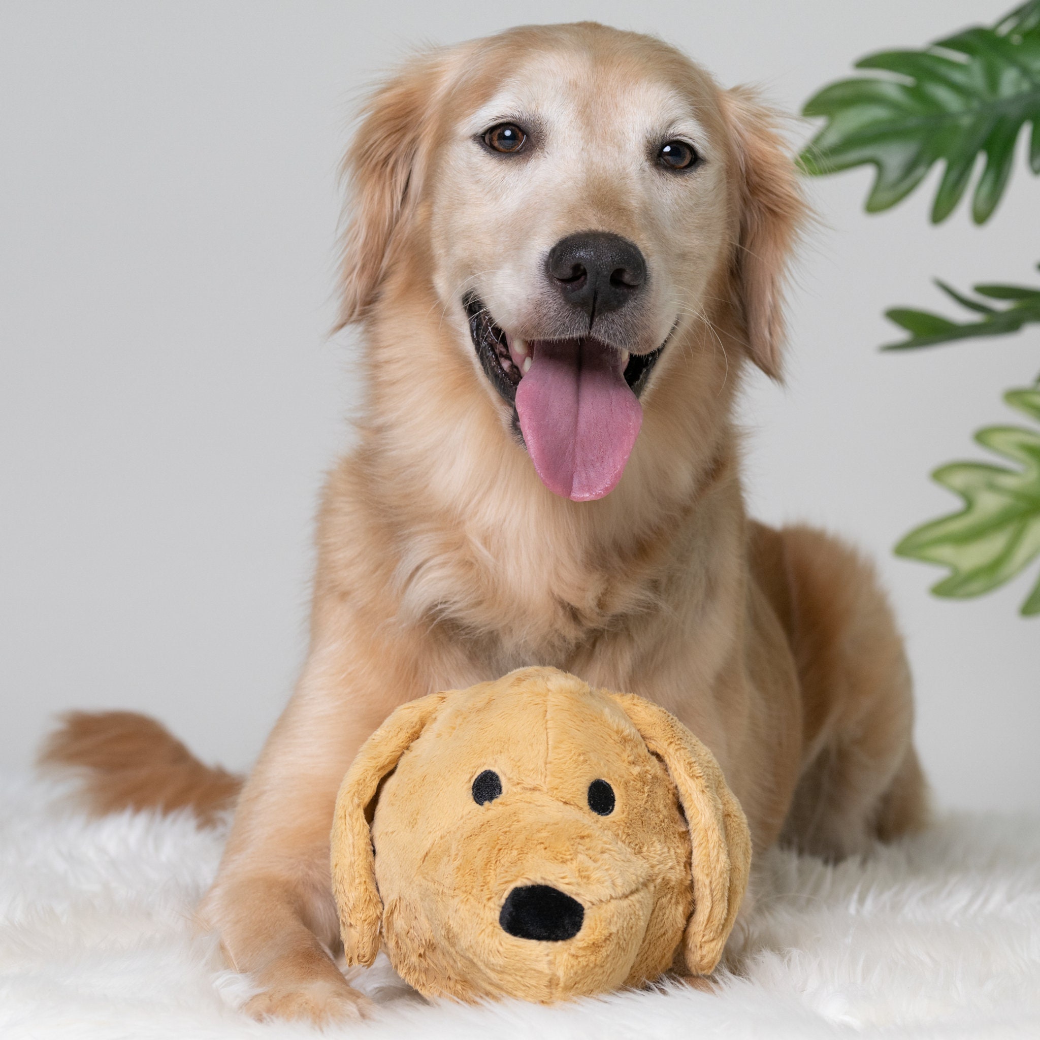 A Golden Retriever Toy 2 in 1 Plush & Ball Dog Toy for Pet - Etsy