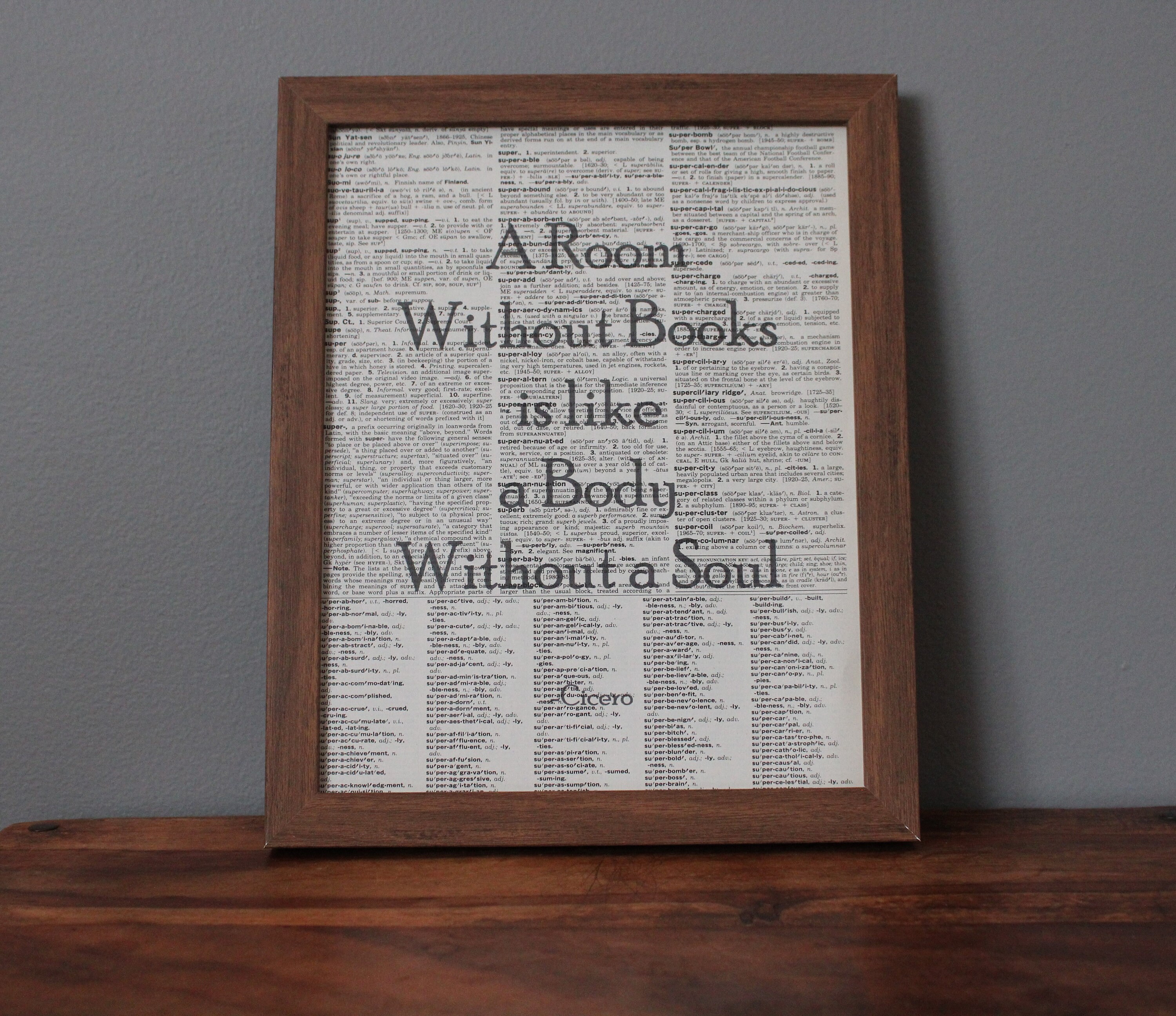 A Room Without Books Dictionary Page - Etsy