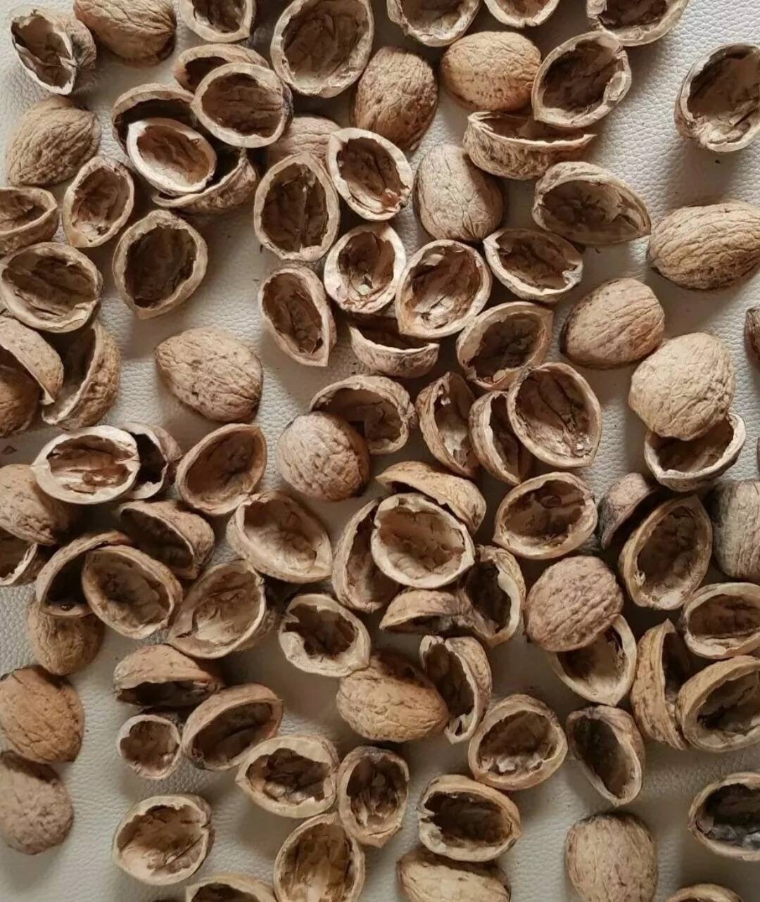 50 Walnut Halves, Walnut Shells, Crafting and Gift Decorations ...