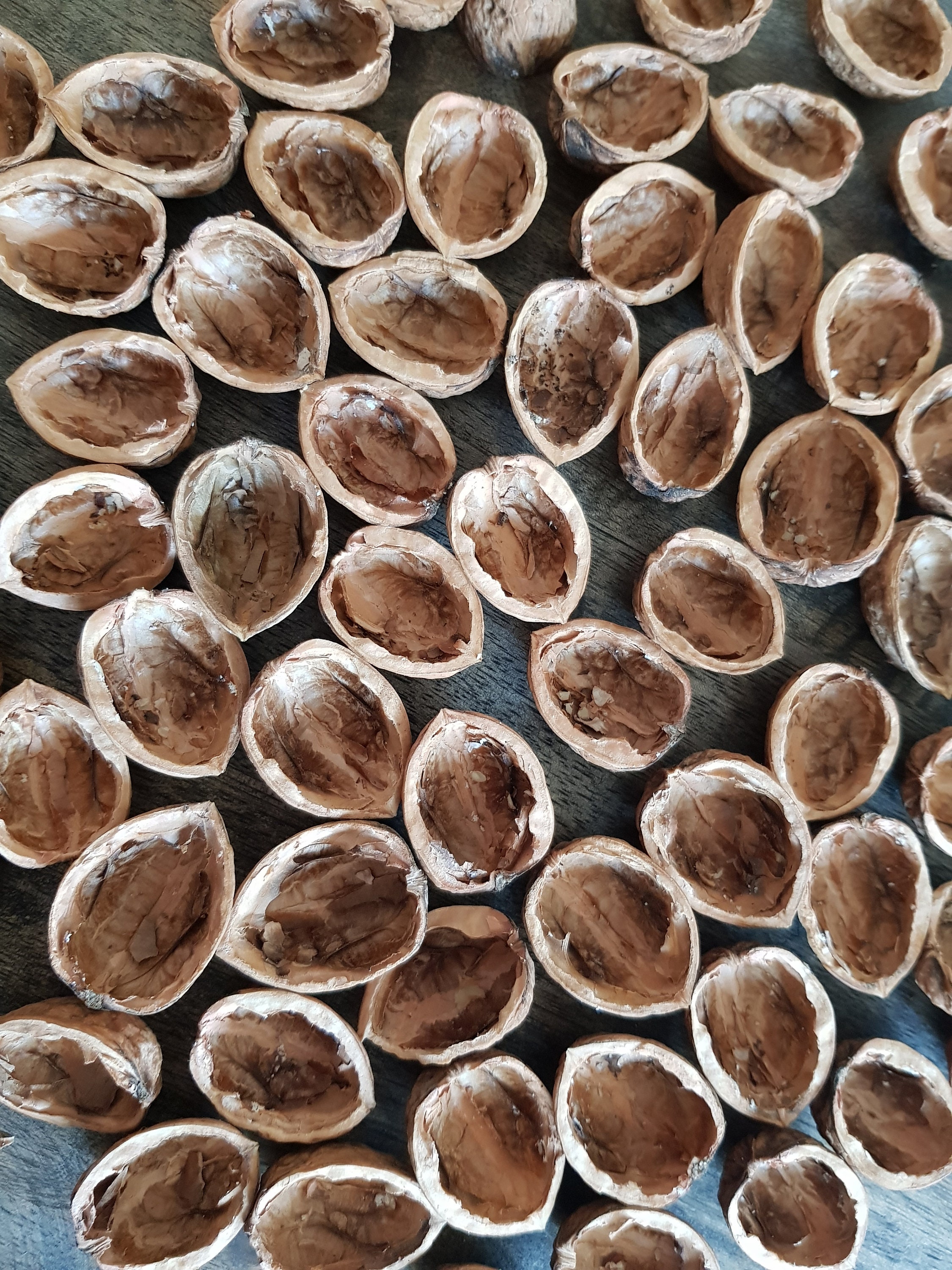 50 Walnut Halves, Walnut Shells, Crafting and Gift Decorations ...