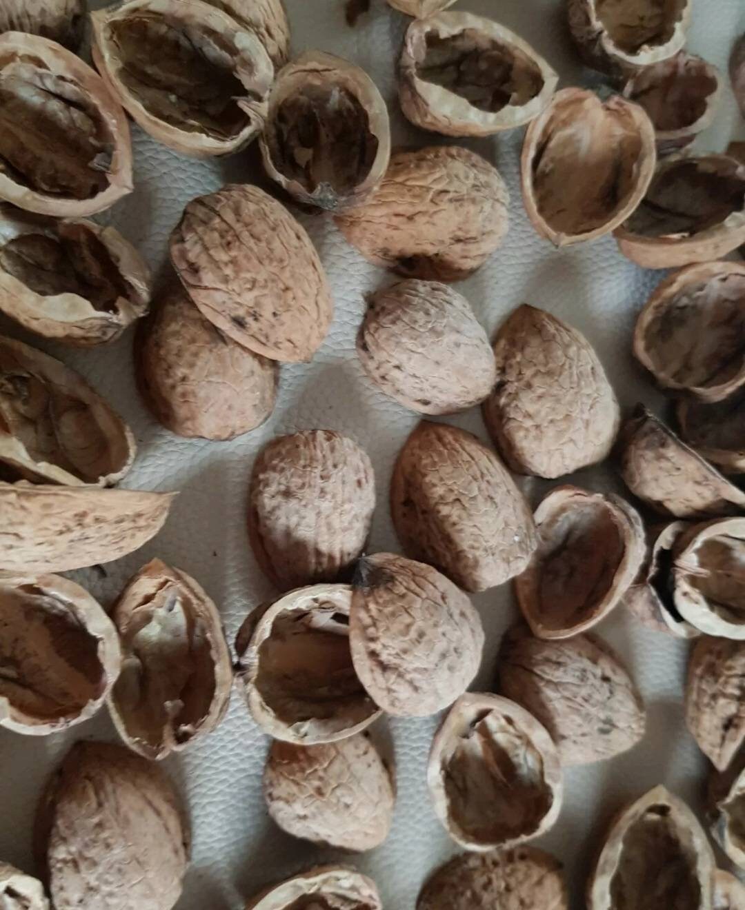 50 Walnut Halves, Walnut Shells, Crafting and Gift Decorations ...