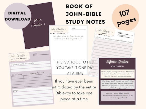 John Bible Study Questions