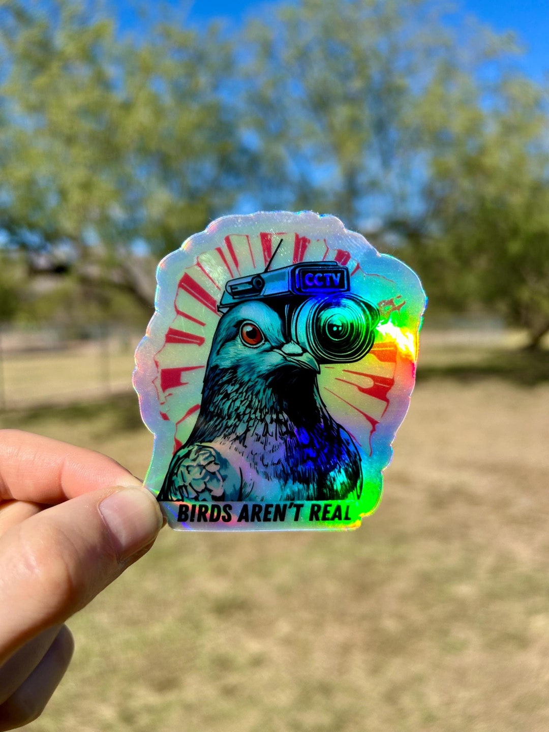 Birds Aren’t Real Conspiracy Theory Sticker Funny Sticker Area 51 Weird ...