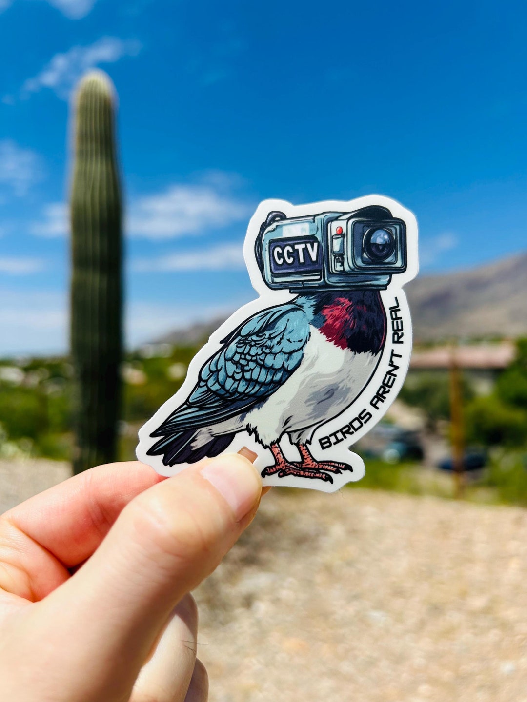 Birds Aren’t Real Conspiracy Theory Sticker Funny Sticker Area 51 Weird ...