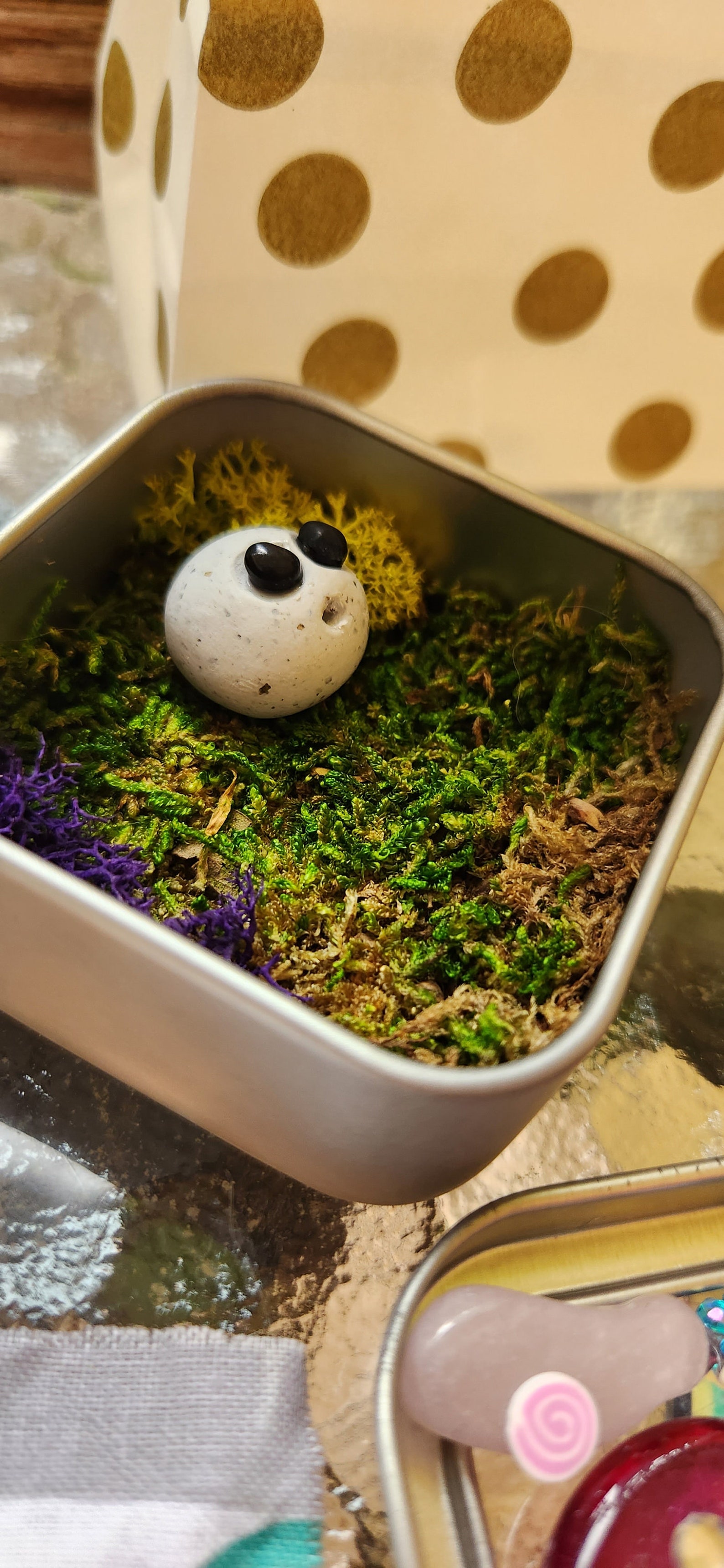 Baby Desk Buddy, Pet Rock, Baby Rock, Tiny Rock With Accessories ...