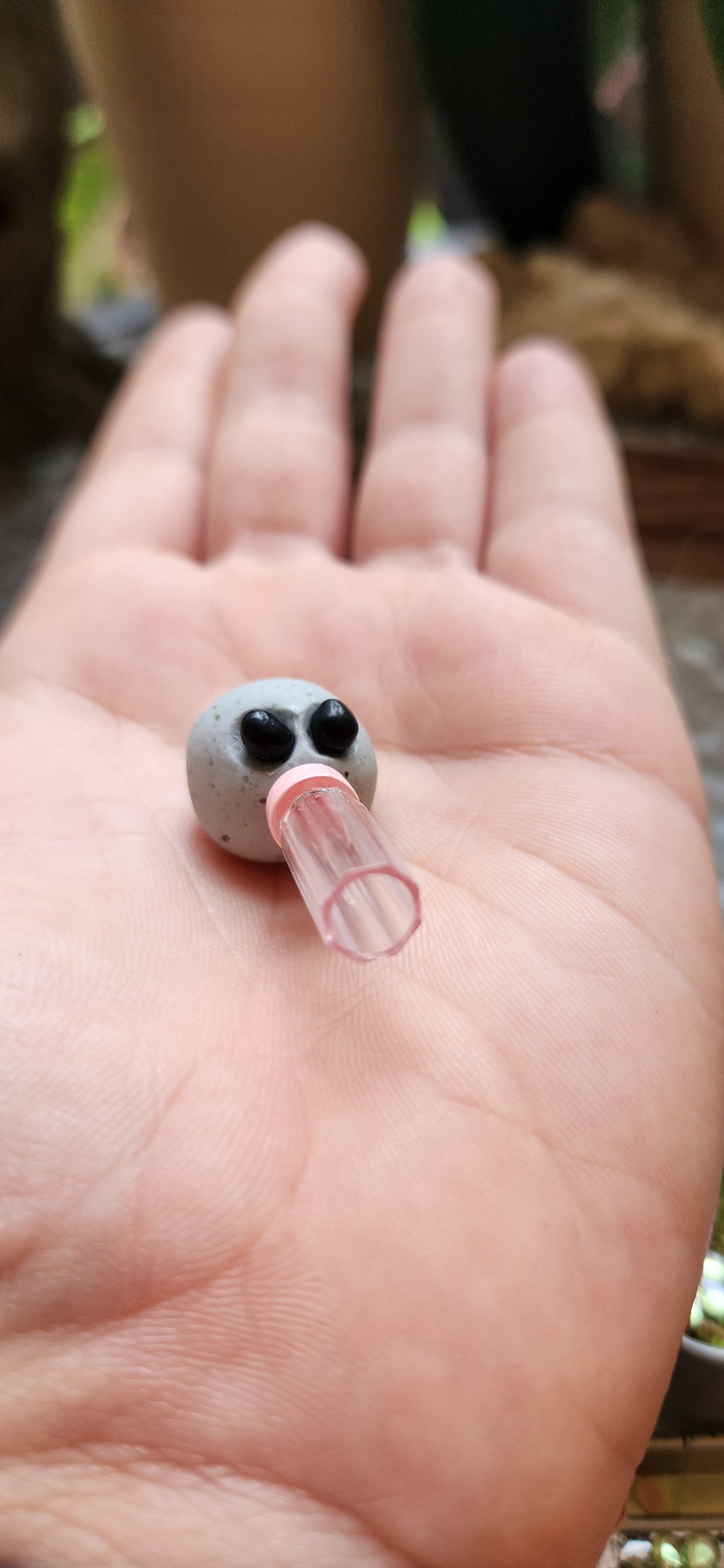 Baby Desk Buddy, Pet Rock, Baby Rock, Tiny Rock With Accessories ...