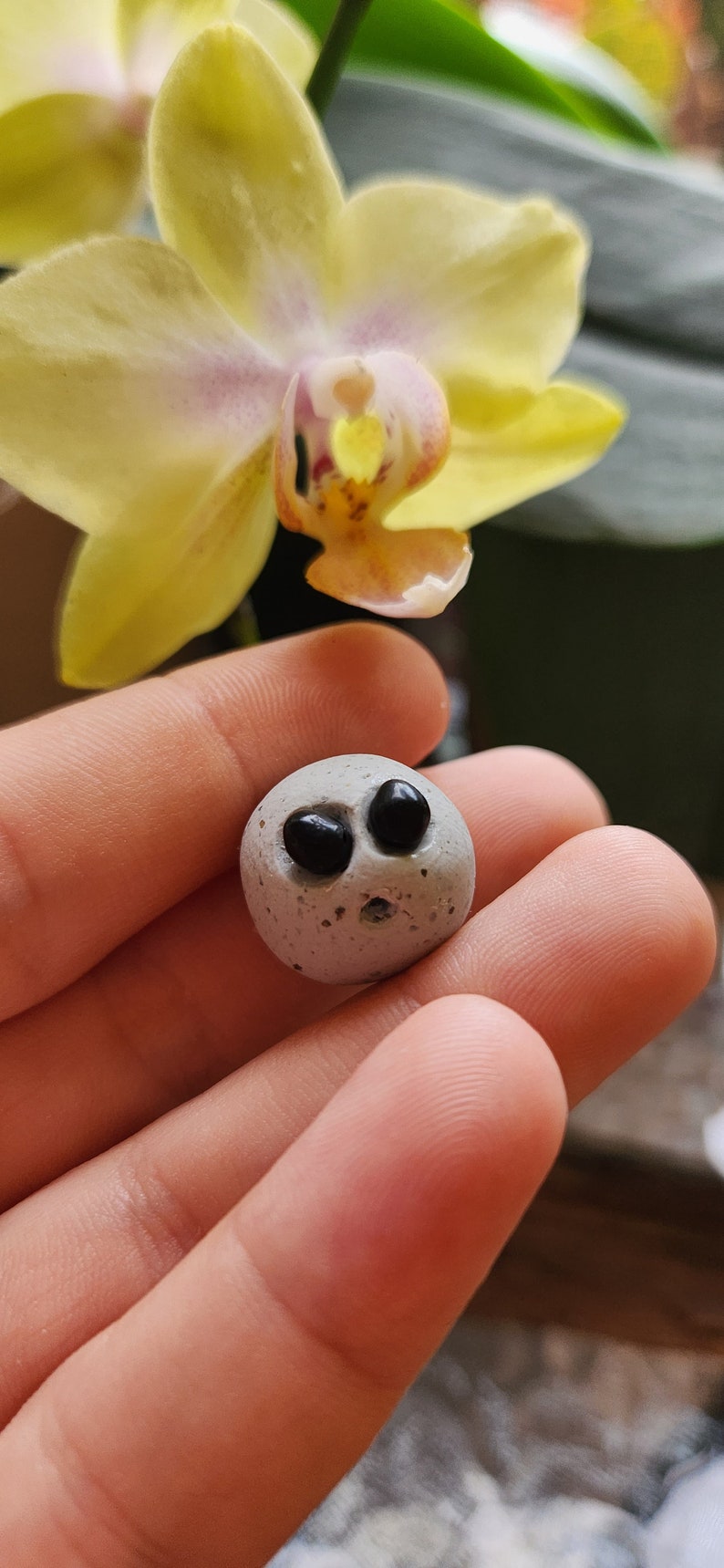 Baby Desk Buddy, Pet Rock, Baby Rock, Tiny Rock With Accessories ...