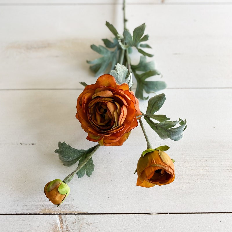 Silk Ranunculus - Etsy