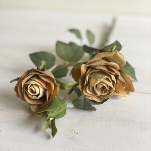 Harvest Gold Rose Stem 1pcs - Dusty Yellow Rose - Rose Stem - Rose Bud ...