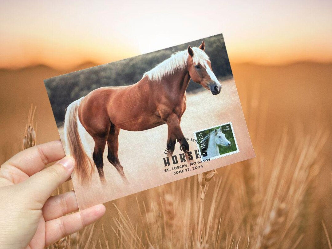 Horses Maxi Pictorial Card Postcard First Day of Issue USA Maximaphily ...